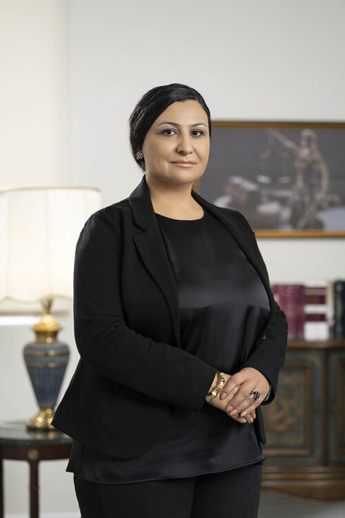 OUR TEAM » Vosooghi Law